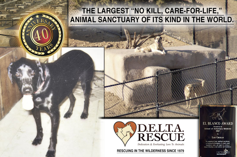 Our 40th Anniversary - DELTA Rescue Care for Life Animal Sanctuary